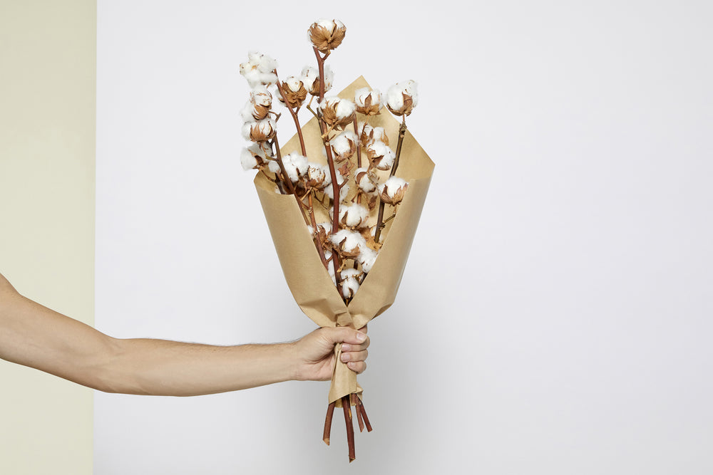 Patou | Maxi tiered dress in organic cotton